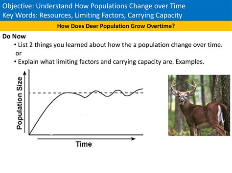 Wolf And Deer Populations