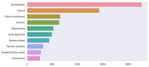 Medical Multi Label Classification With Pytorch Lightning