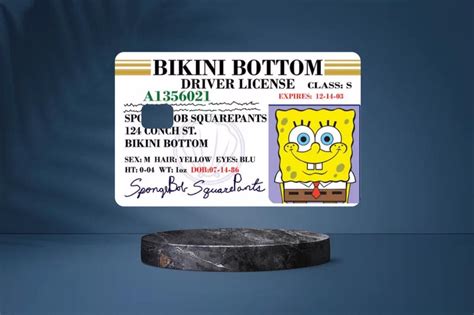 Spongebob License Quotes