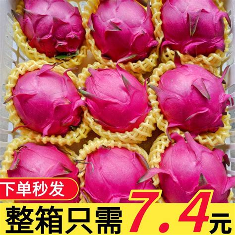 红心火龙果售价红心火龙果现在什么价红心火龙果大山谷图库