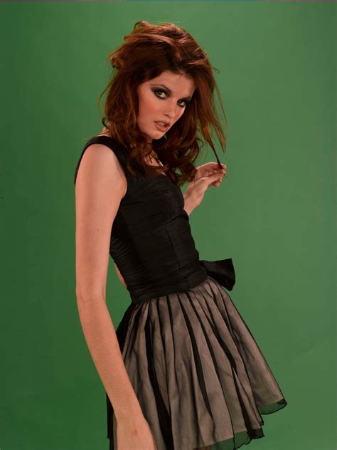 Janice Dikinson Janice Dickinson Modelo