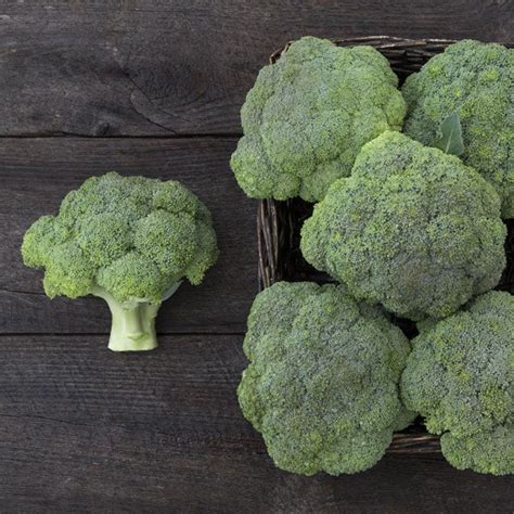 Organic Non Gmo Belstar F1 Broccoli
