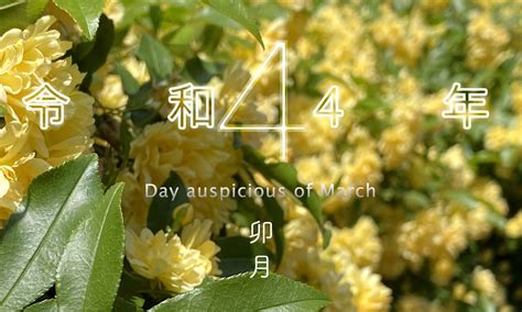 2022年、令和4年4月の暦・お日取り・縁起のいい日、良くない日ios Calendar Blog