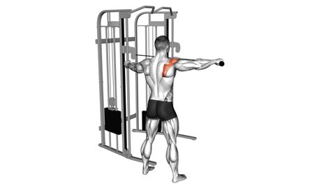 10 Essential Shoulder Exercises With Cables For Maximum Strength And