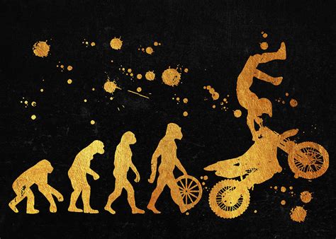 Evolution Bicycle Drawing