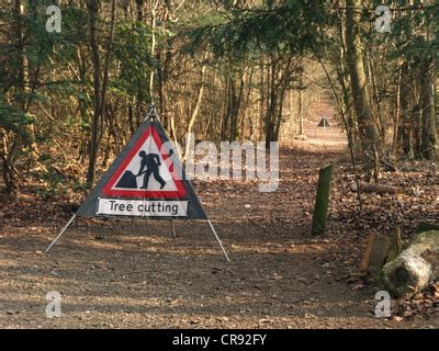 Tree Cutting Warning Sign Of Men At Work Stock Photo Alamy