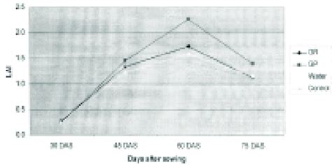 Leaf Area Index Lai At Different Stages Due To Growth Regulators In