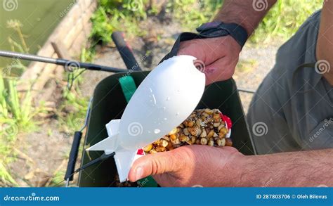 Cebo de espinas para peces metrajes Vídeo de barra 287803706