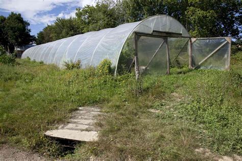 Lessons Ive Learned From Polytunnel Gardening