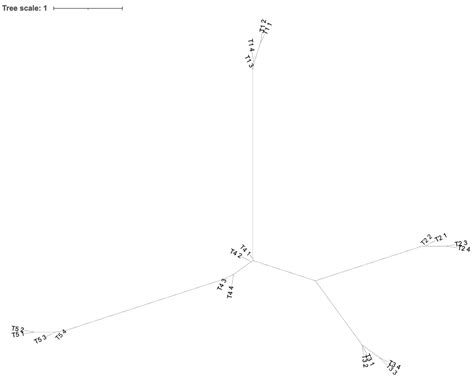 Common Ancestry And Nested Hierarchy Peaceful Science