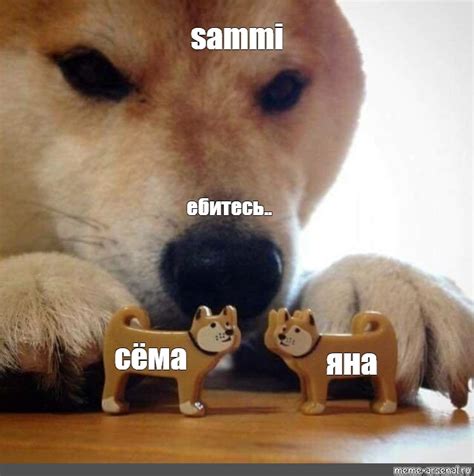 Meme: "sammi ебитесь.. сёма яна" - All Templates - Meme-arsenal.com