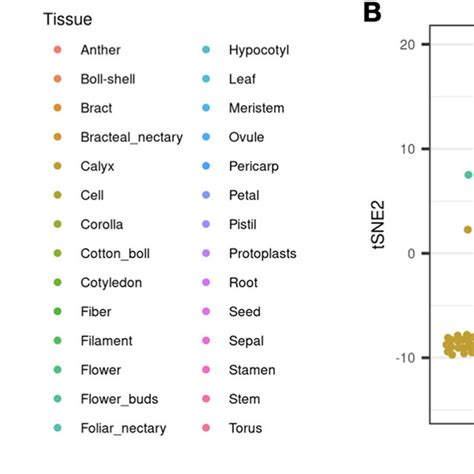 T Sne Analysis Of Concratlas Samples Using Lncrna Expression Data Of