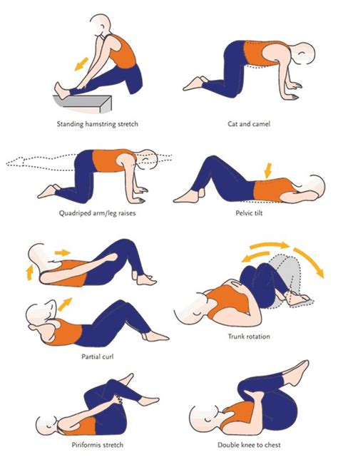 1000 Images About Lower Back Exercises At Home On Pinterest Back