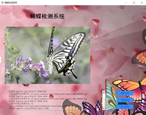 基于改进yolov7的蝴蝶识别系统（源码＆教程）基于yolov7的动物识别 Csdn博客