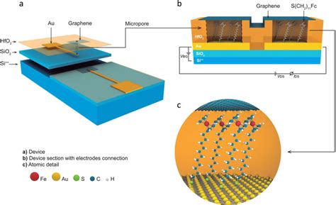 Schematic Illustration Of The M Gfet A Design Of The Fabricated Device