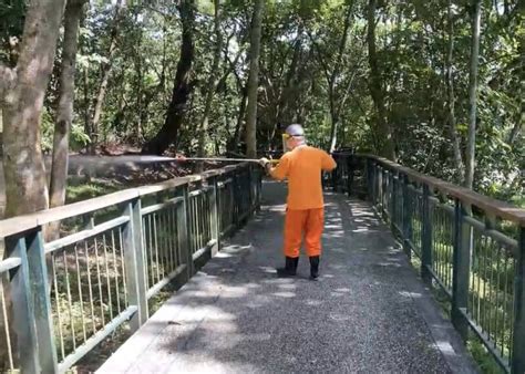 雲林登革熱累積本土確診6例 再添3人快篩陽