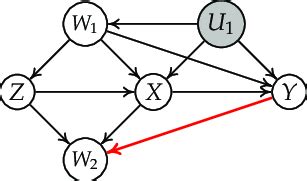 Causal Graph Where Z Is A Valid IV Conditioning On W Relative To X Download Scientific