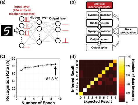 Software Simulation For Pattern Recognition A Schematic Of A Spiking