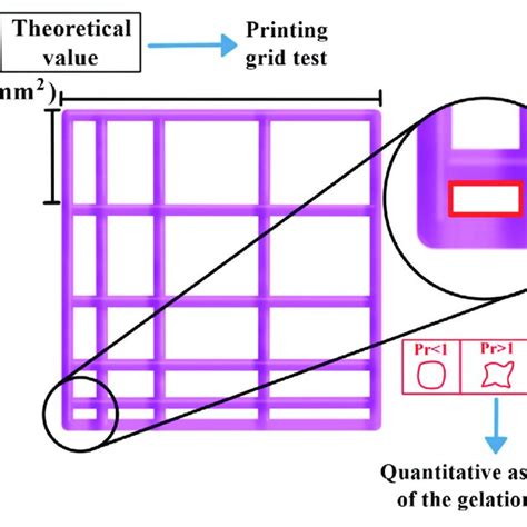Simultaneous Performance Of The Grid Test And Quantitative Assessment