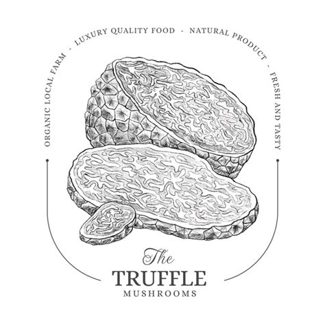 Black Truffle Drawing Images Free Download On Freepik