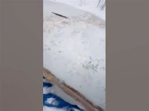 Диск алмазный по дереву для полиуретановый шпатлевки - YouTube