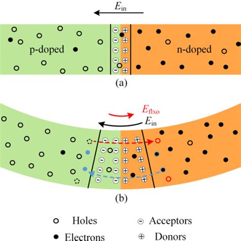 A A Pn Junction In A Flexoelectric Semiconductor Fiber And B Its