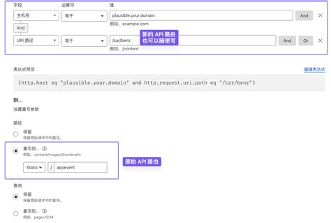 简单隐私友好的谷歌分析替代品Plausible 自托管部署指南 Dejavu s Blog