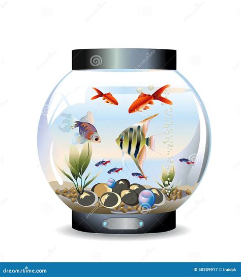 Round Aquarium Stock Vector Image 50309917