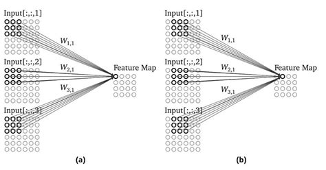 8 The Connection Between The Input And Output Units Of The Convolution