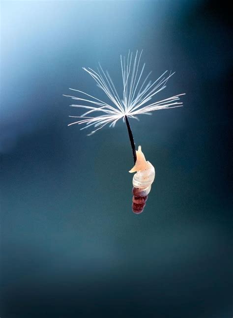 Best Entries So Far From The 2021 Comedy Wildlife Photography Awards