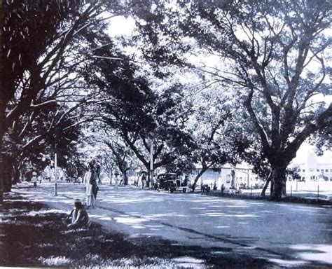 කොළඹ අපි තුම්මුල්ල 🥺 Facebook