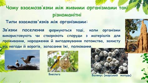 Презентація «Як організми співіснують у середовищі