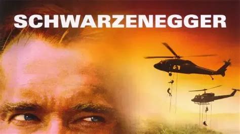 פודינג בית השחי וואלה תרבות