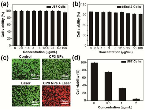 Figure 6 From Molecular Engineering Of Conjugated Polymers For Biocompatible Organic