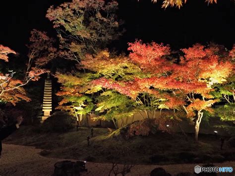円通院ライトアップ② by 4katu ID8250765 写真共有サイト PHOTOHITO