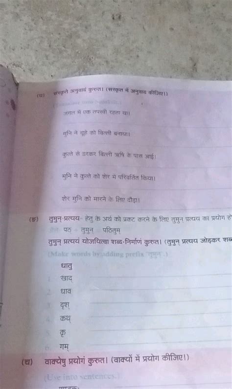 Make Words By Adding Prefix Use Into Sentences