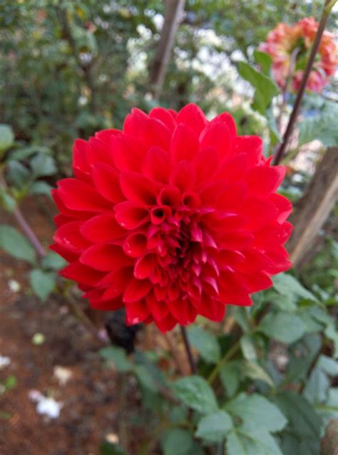 Virgo Girl Virgo Girl Added A New Photo