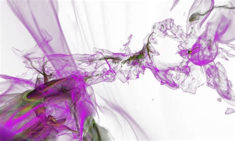 Software ExaBrick AMR Rendering Framework
