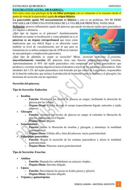 Pancreatitis Aguda Rebeca Udocz