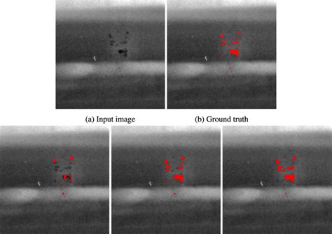 Segmentation Masks For A Patch Of Test Data On Models Trained With 5