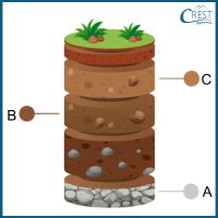 Soil Class 3 Science