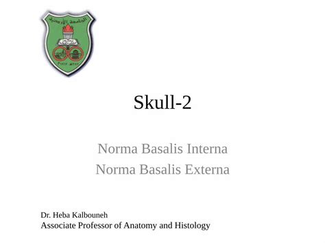 Pdf Skull 2 Wp Content Uploads