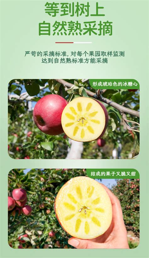 阿克苏苹果 宏辉果蔬股份有限公司 速冻食品食用油脂
