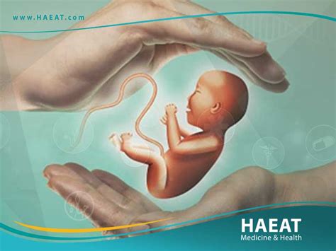 العقم الأعراض الاسباب التشخيص العلاج المضاعفات حياة Haeat