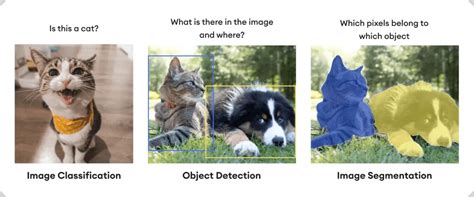 How To Use Ultralytics Yolo11 For Image Classification