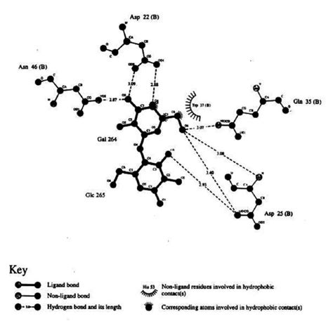 Binding Site Residues Of Ricin B Chain Domain 1 Site 1 Involved In Download Scientific