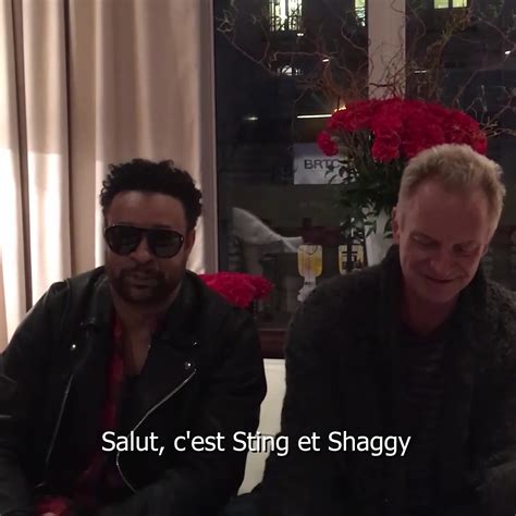Sting Shaggy CD Album Achat Prix Fnac