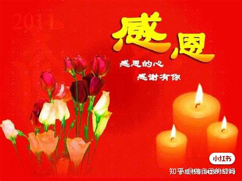 荷兰为什么有“荷兰”和“尼德兰”两个称呼？🤓 知乎