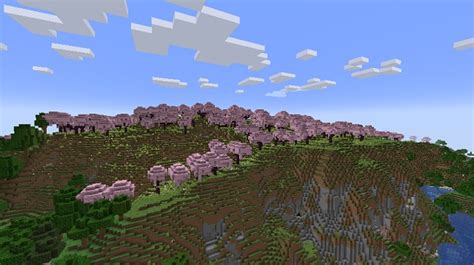 12 Best Cherry Grove Seeds In Minecraft 2024 Beebom