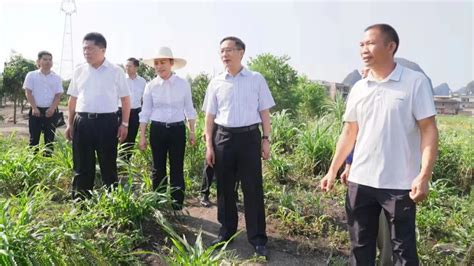 贺州市委书记李杰云：践行以人民为中心的发展思想 全力以赴解决好群众合理诉求 贺州市信访局
